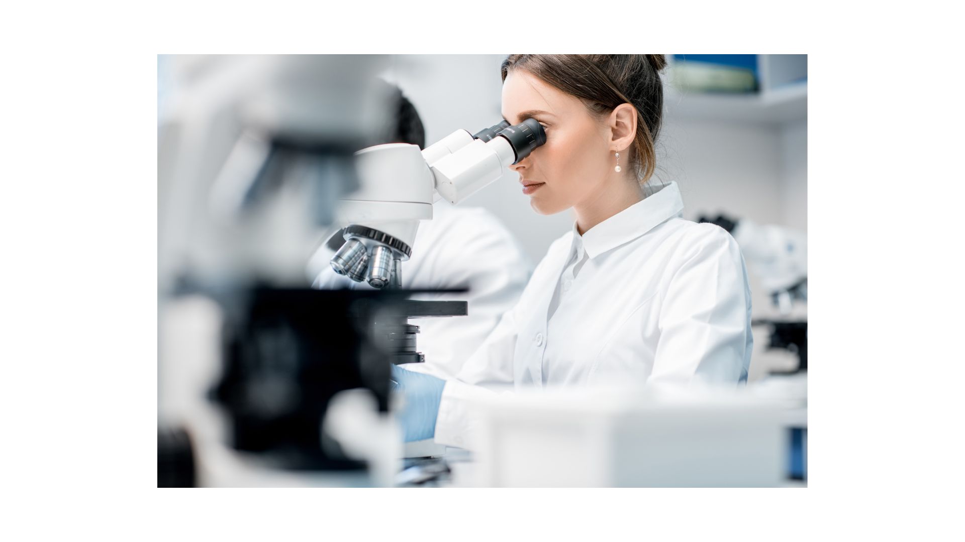 Život v Hellolab - Hello laboratoř